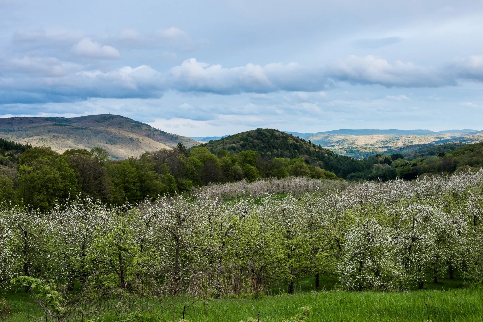 Ecocertified | Grow Sustainably — Explore Now — Scott Farm Orchard