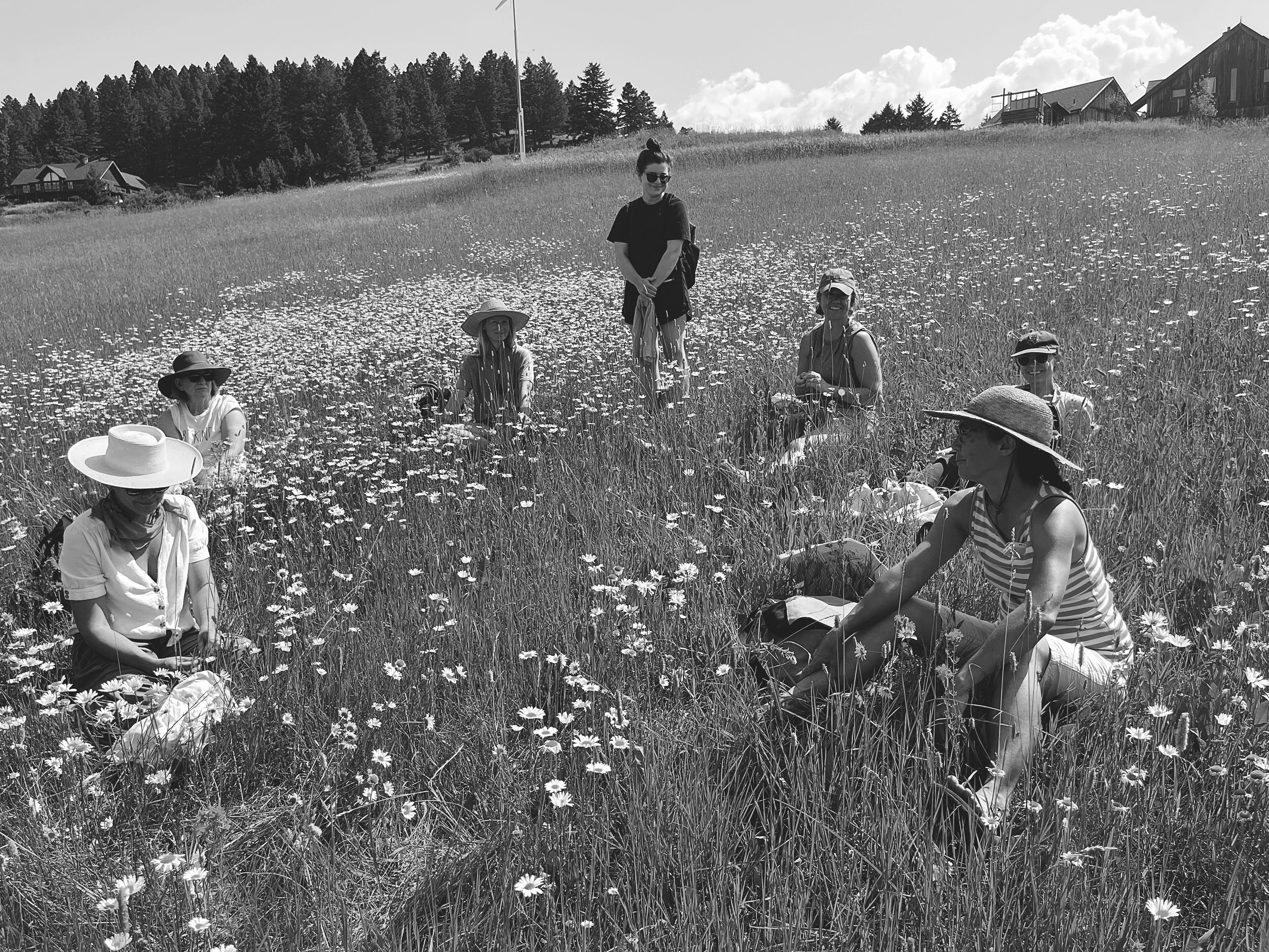 Local Earth Collective