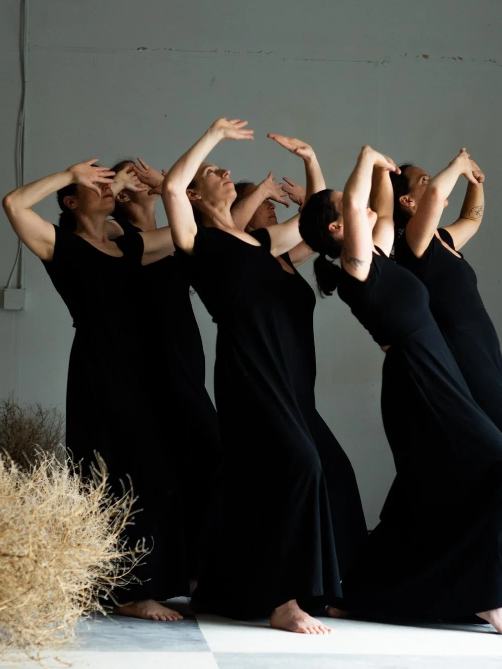 Local Earth Collective