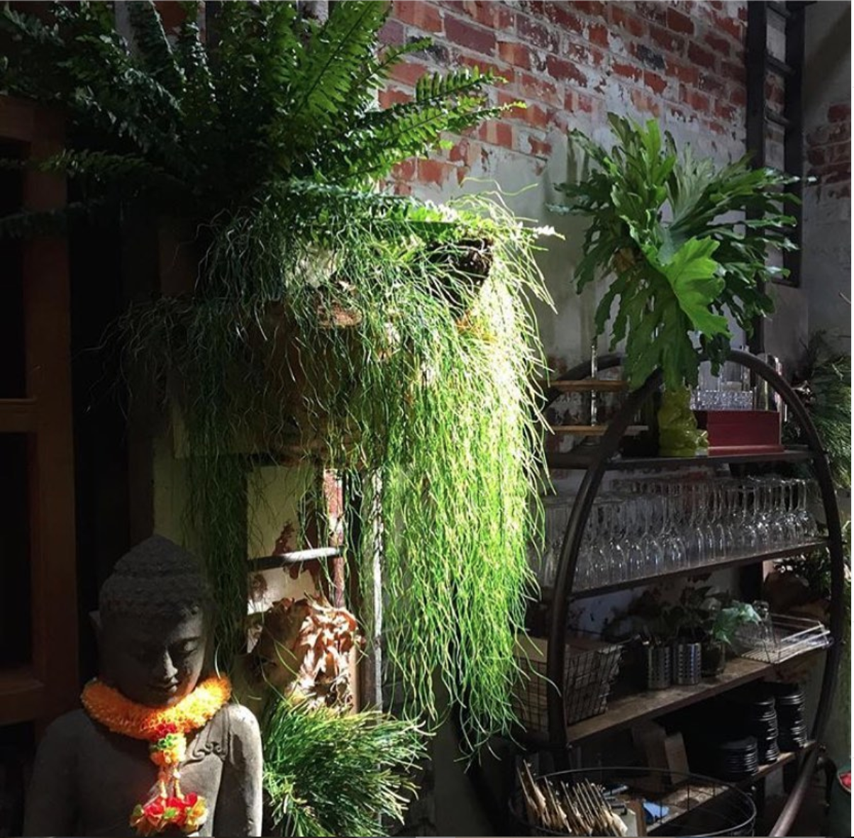 Chinta Cafe