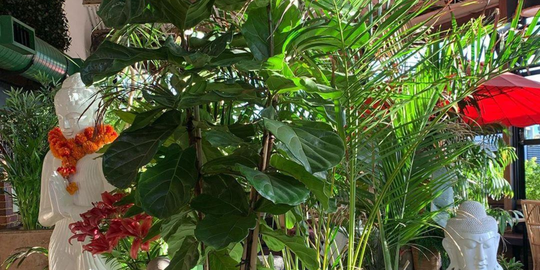 Booking Information — Chinta Cafe