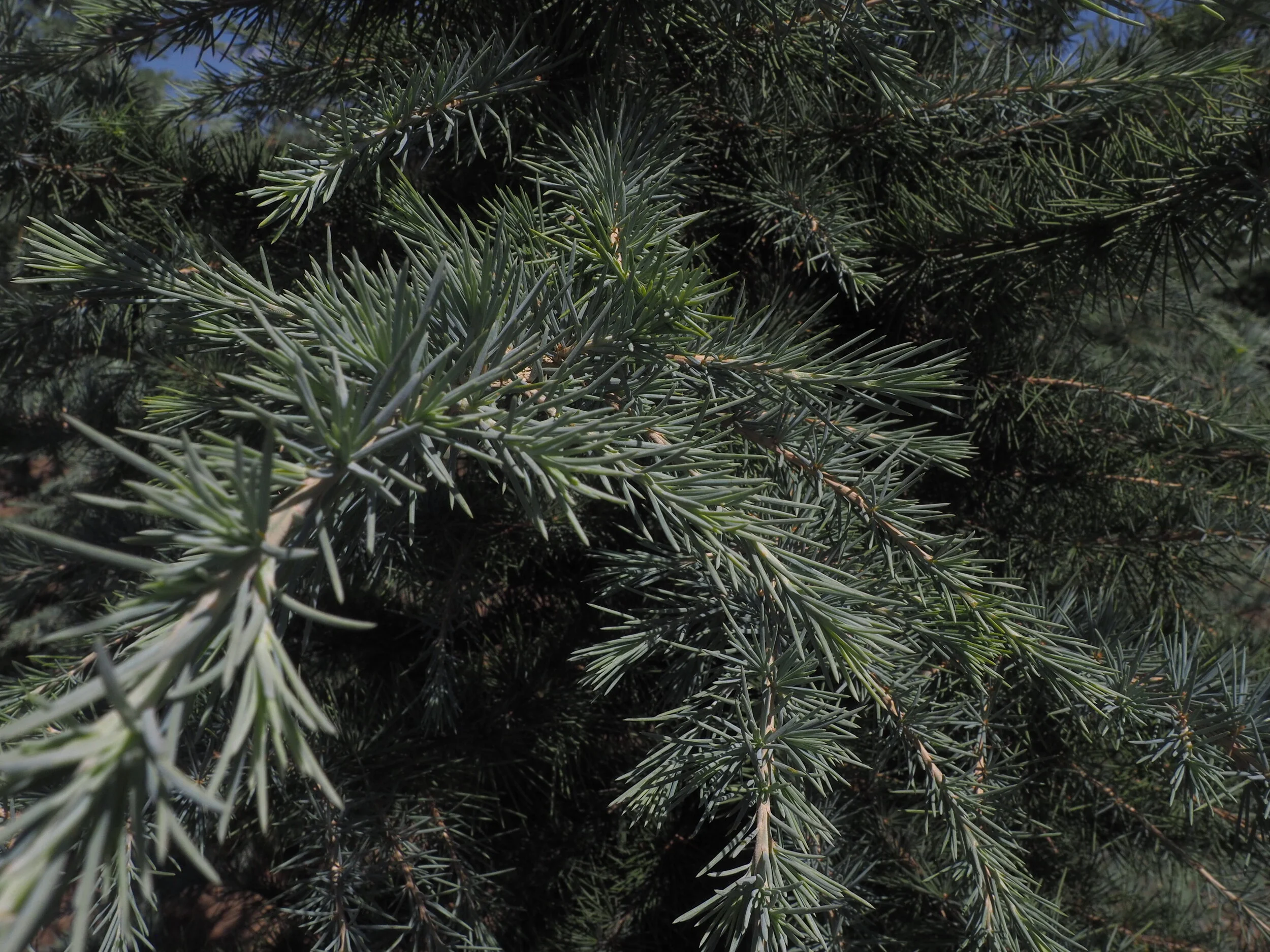 Home [neuschwanders.com]