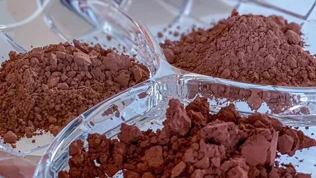 How To Choose Between the Different Types of Cocoa Powder