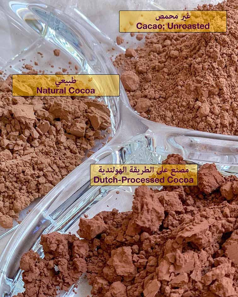 How To Choose Between the Different Types of Cocoa Powder