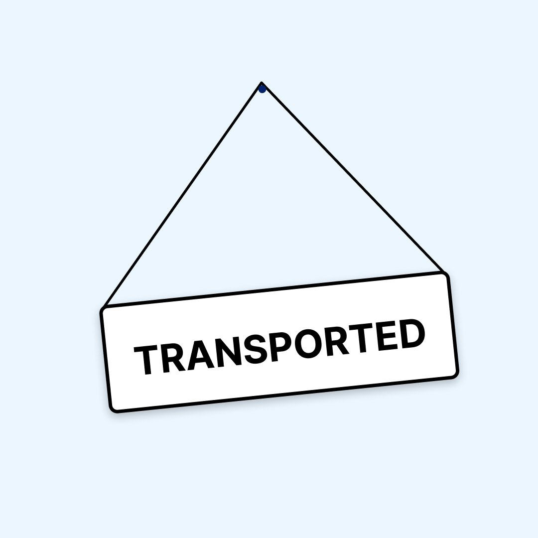 Engineius — Our Services