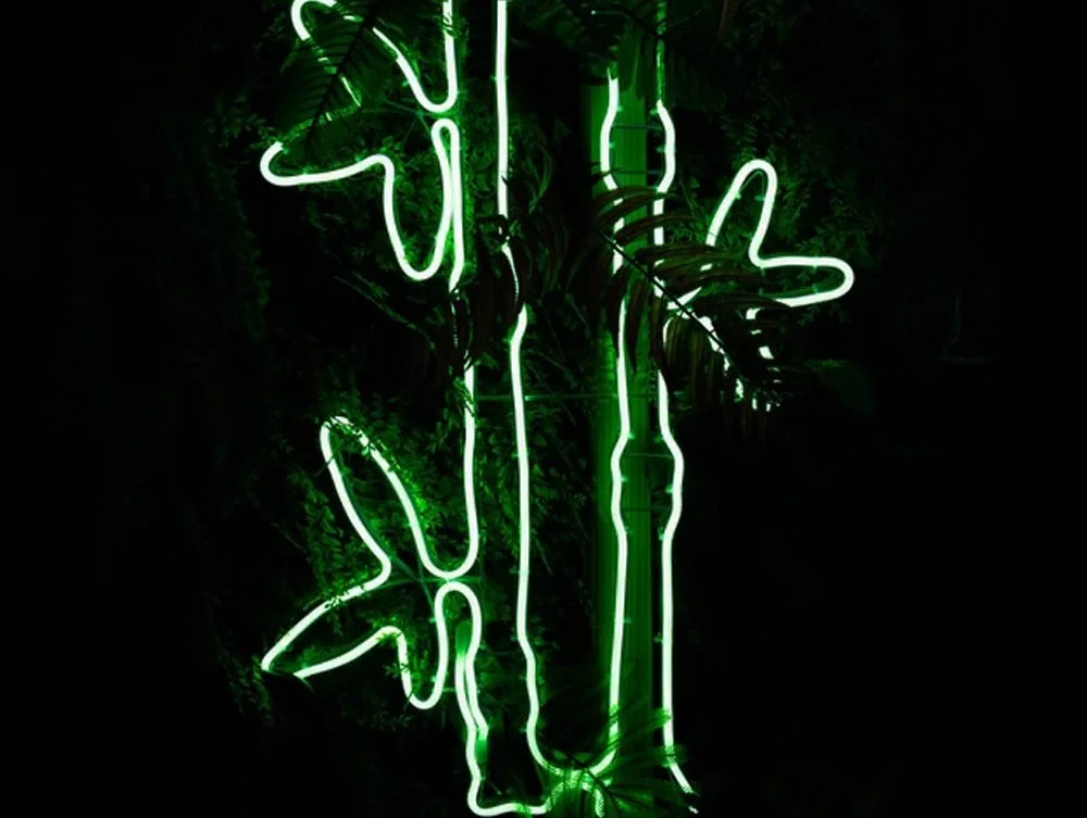 Custom Neon Signs UK | Neon Lights | Neon LED Signs | Signs Base