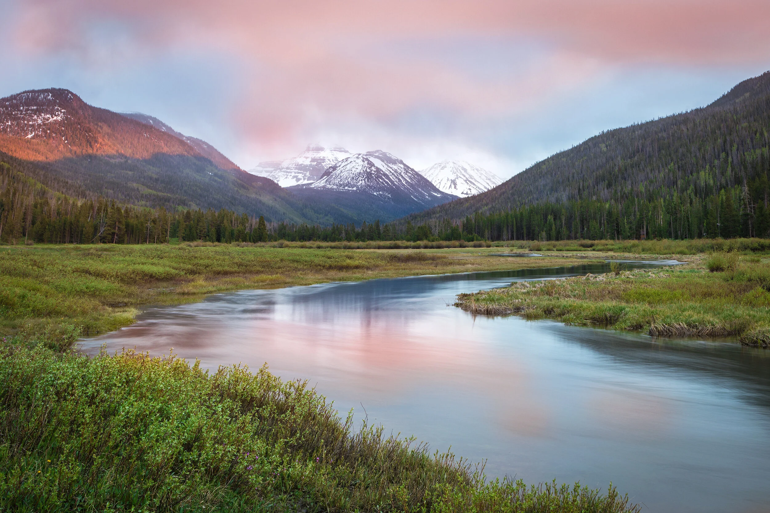 Alpine Forestry Utah