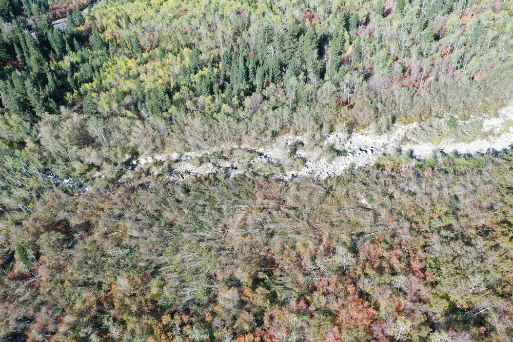 Alpine Forestry Utah