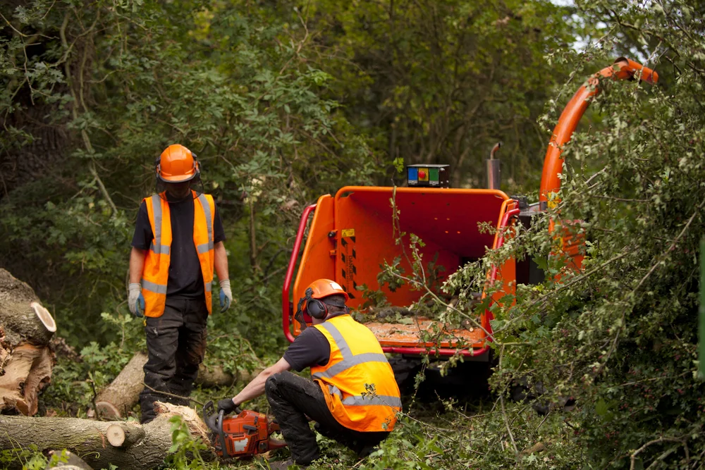 Alpine Forestry Utah