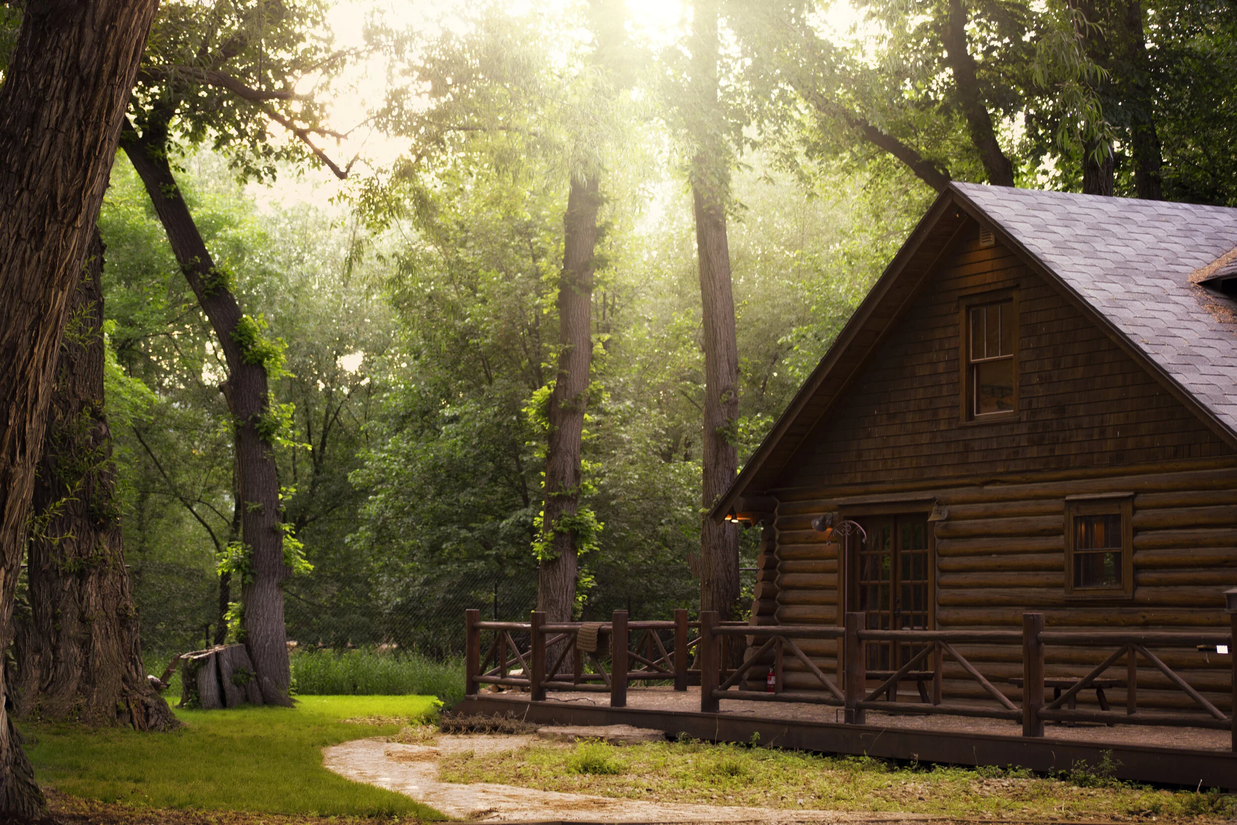 Alpine Forestry Utah