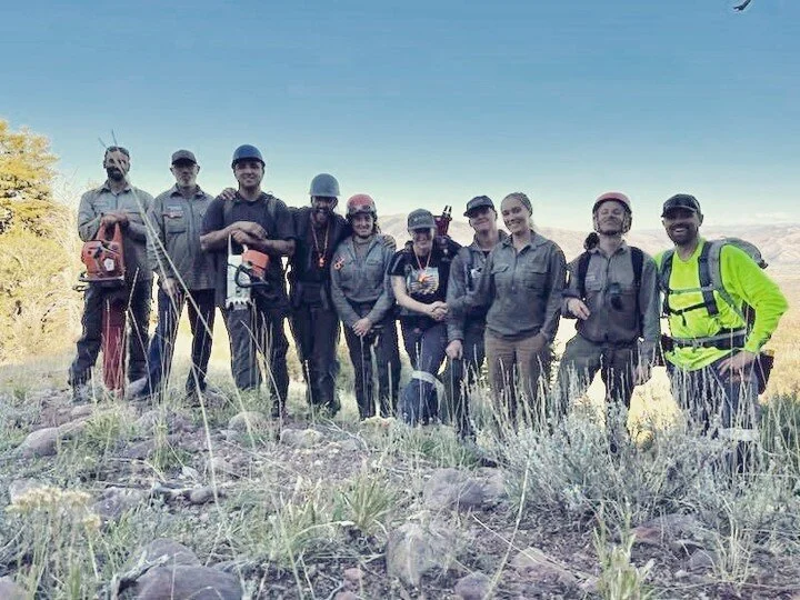 Alpine Forestry Utah