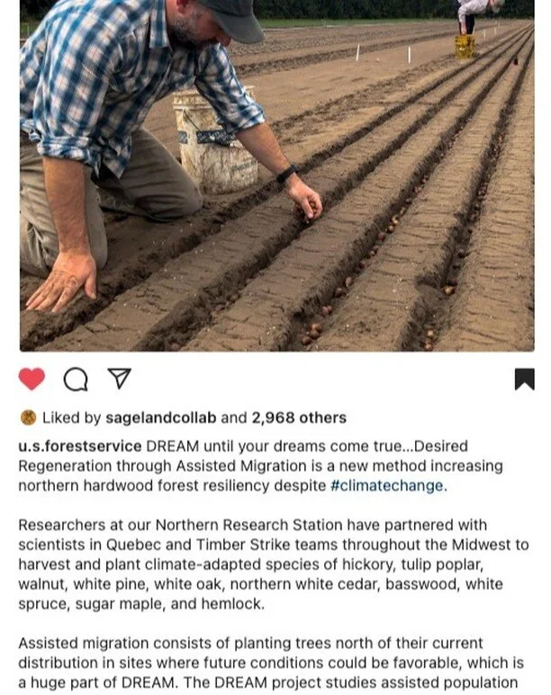 Alpine Forestry Utah