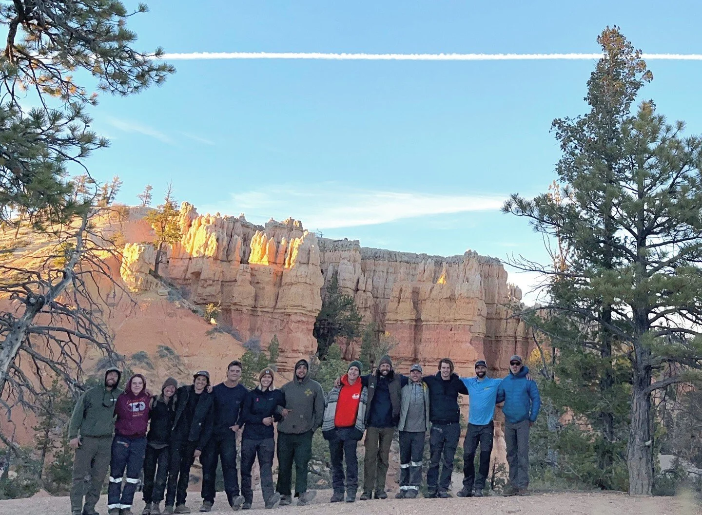 Alpine Forestry Utah