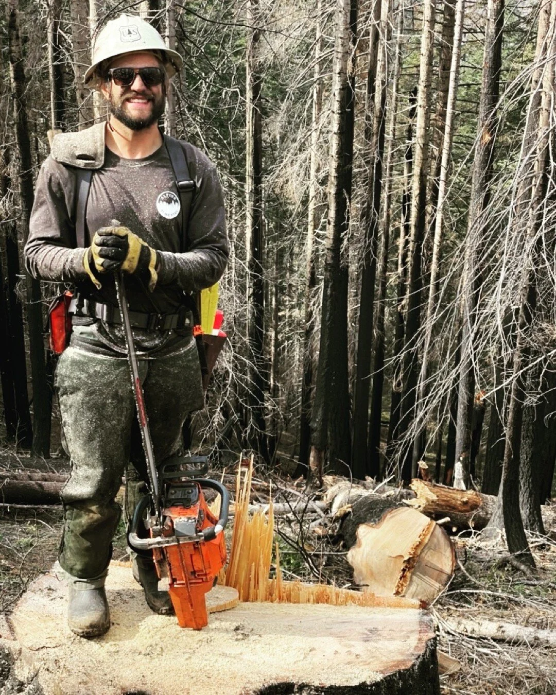 Alpine Forestry Utah