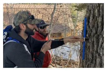 Professional Forestry Services in Utah | Alpine Forestry Utah