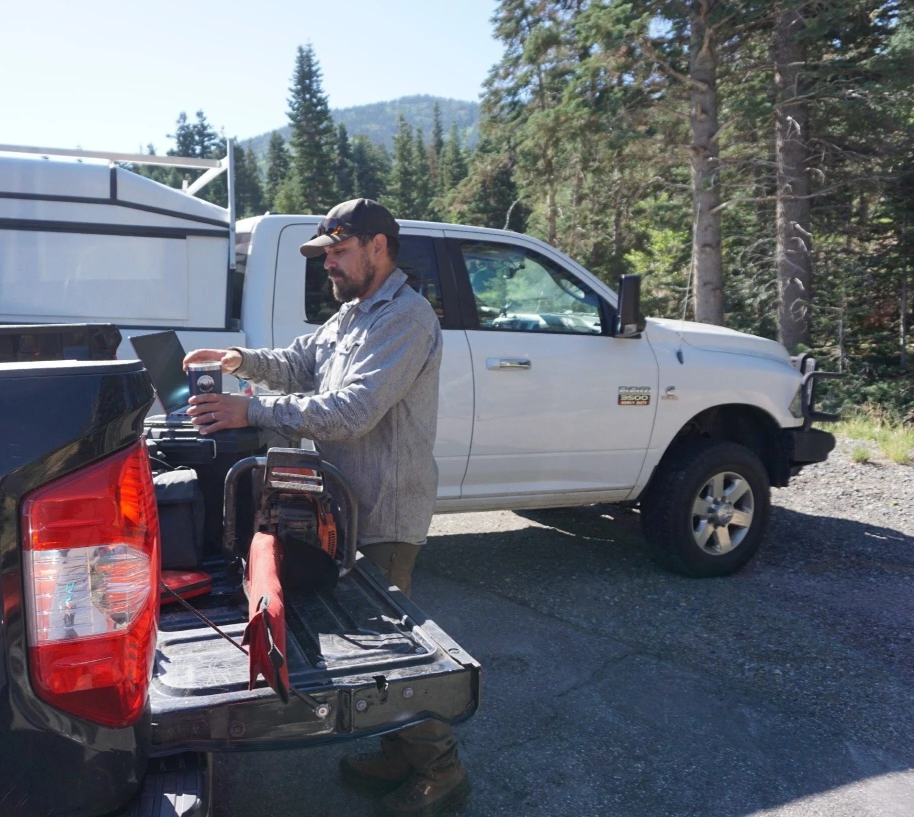 Contact us — Alpine Forestry Utah