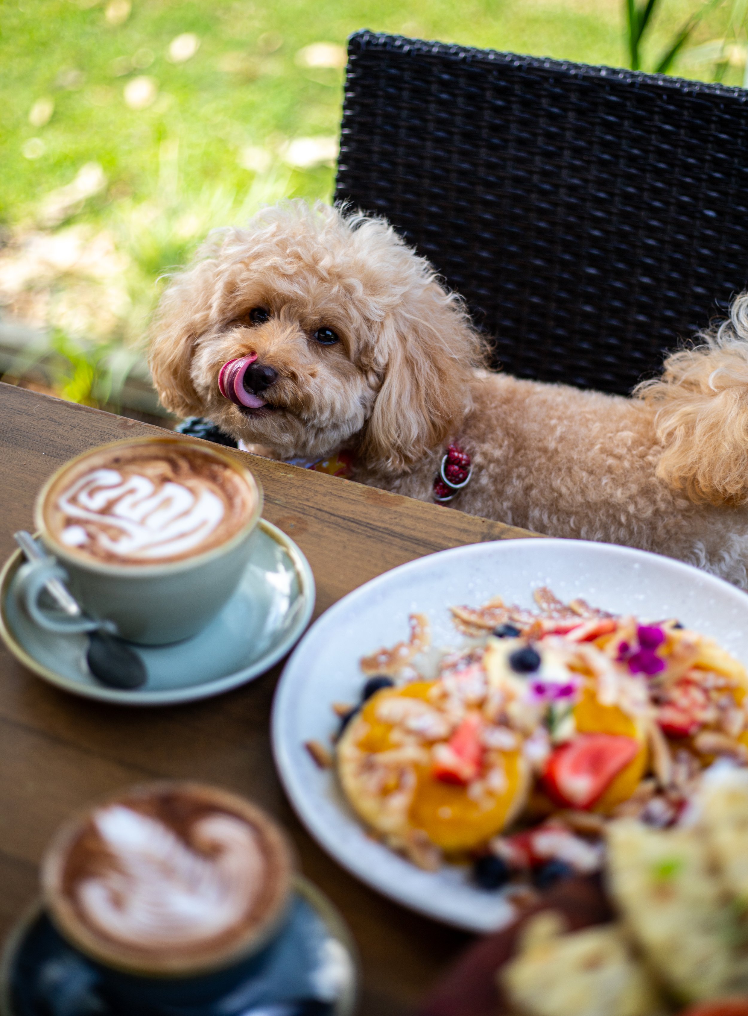 BY THE BAY CAFE & GRILL