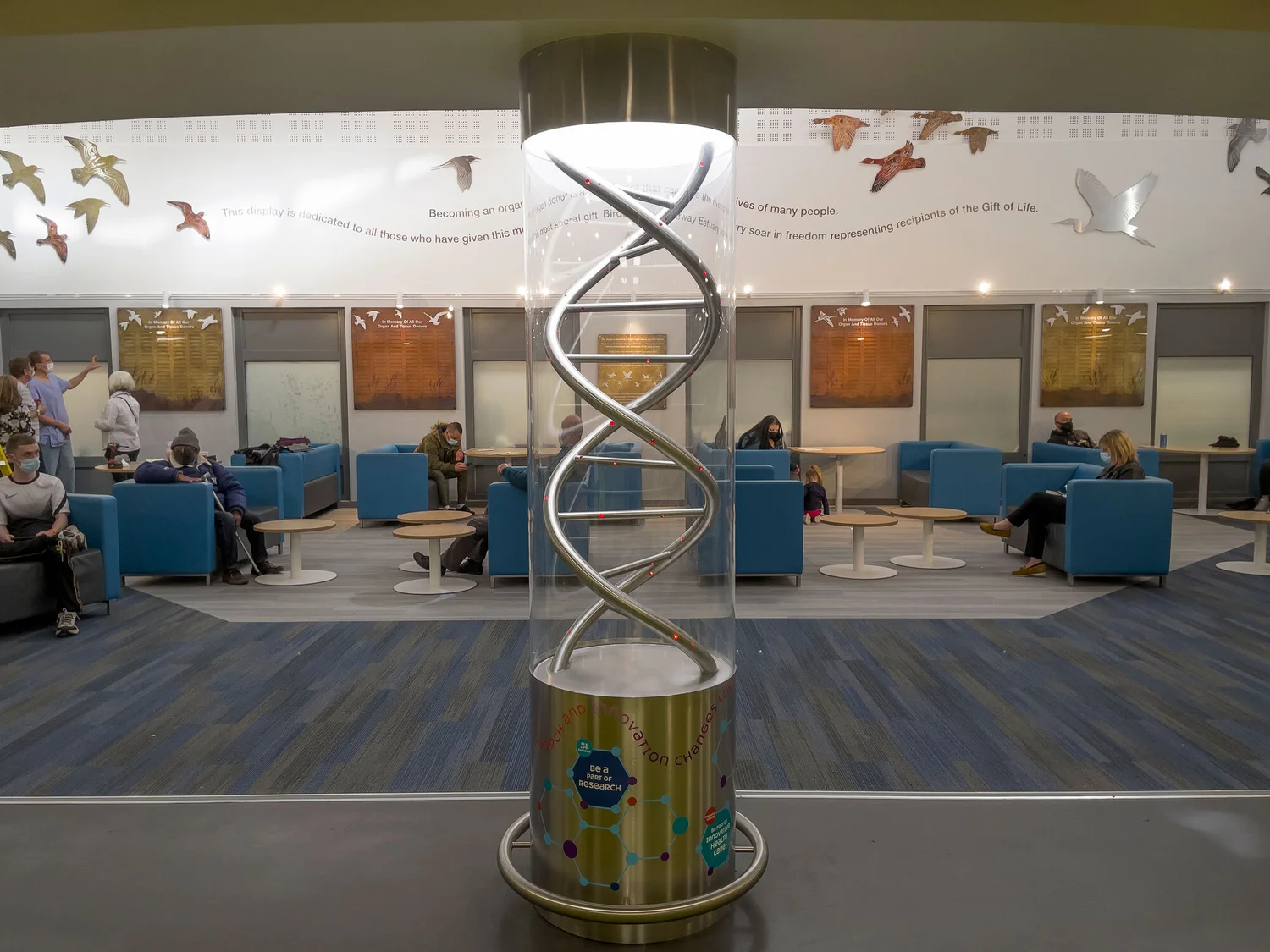 Hospital Art Studio — Revolving DNA Sculpture