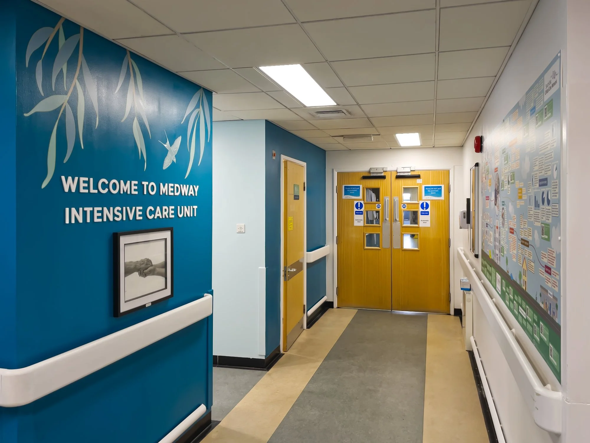 Hospital Art Studio — Calming Art For Critical Care