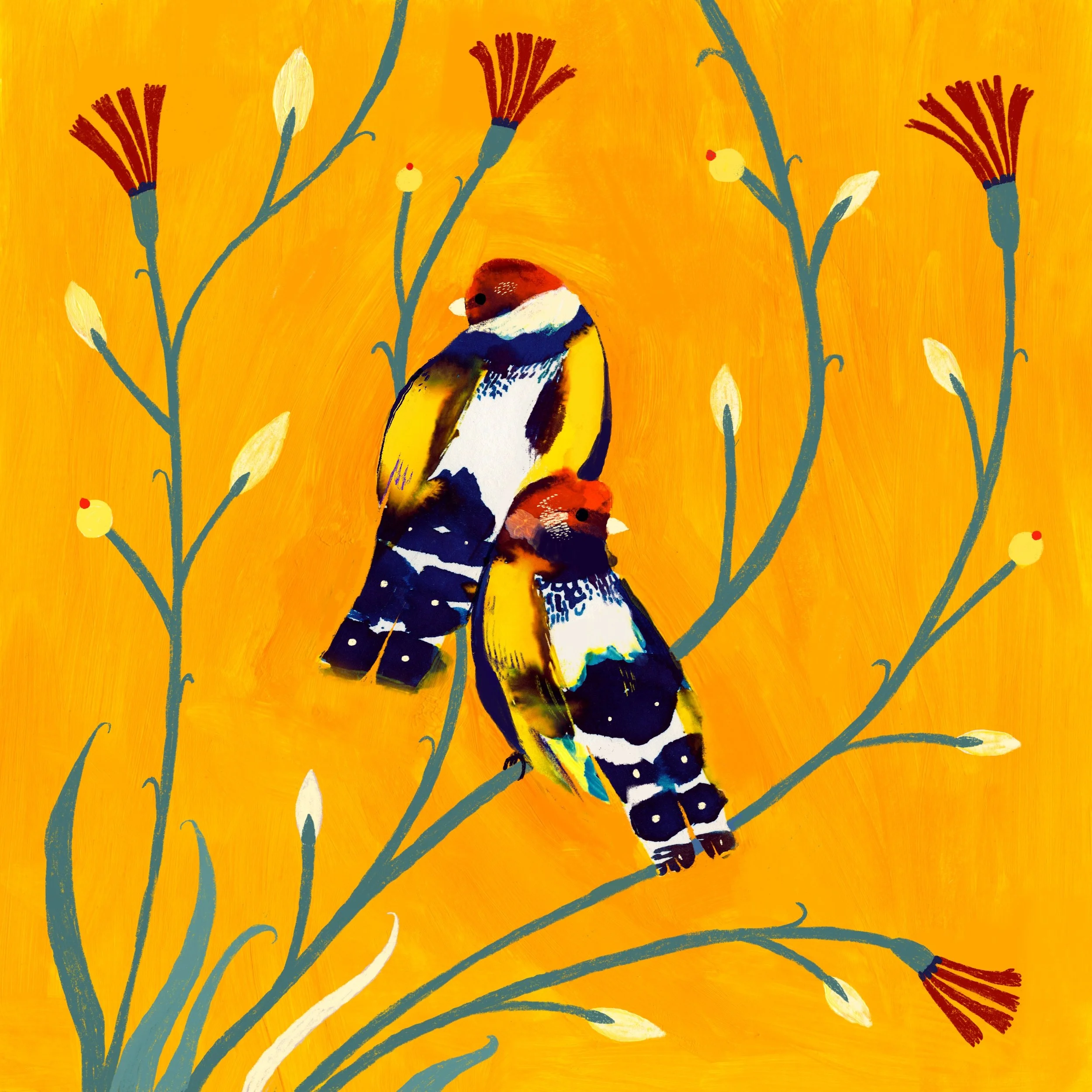 Patterns — Dide Tengiz