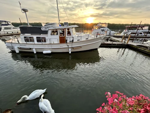 Gallery — Coeymans Landing Marina