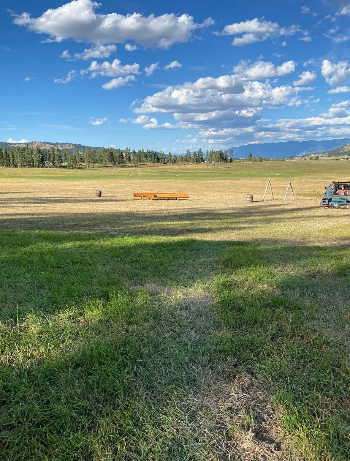 Welcome to Gratitude Ranch