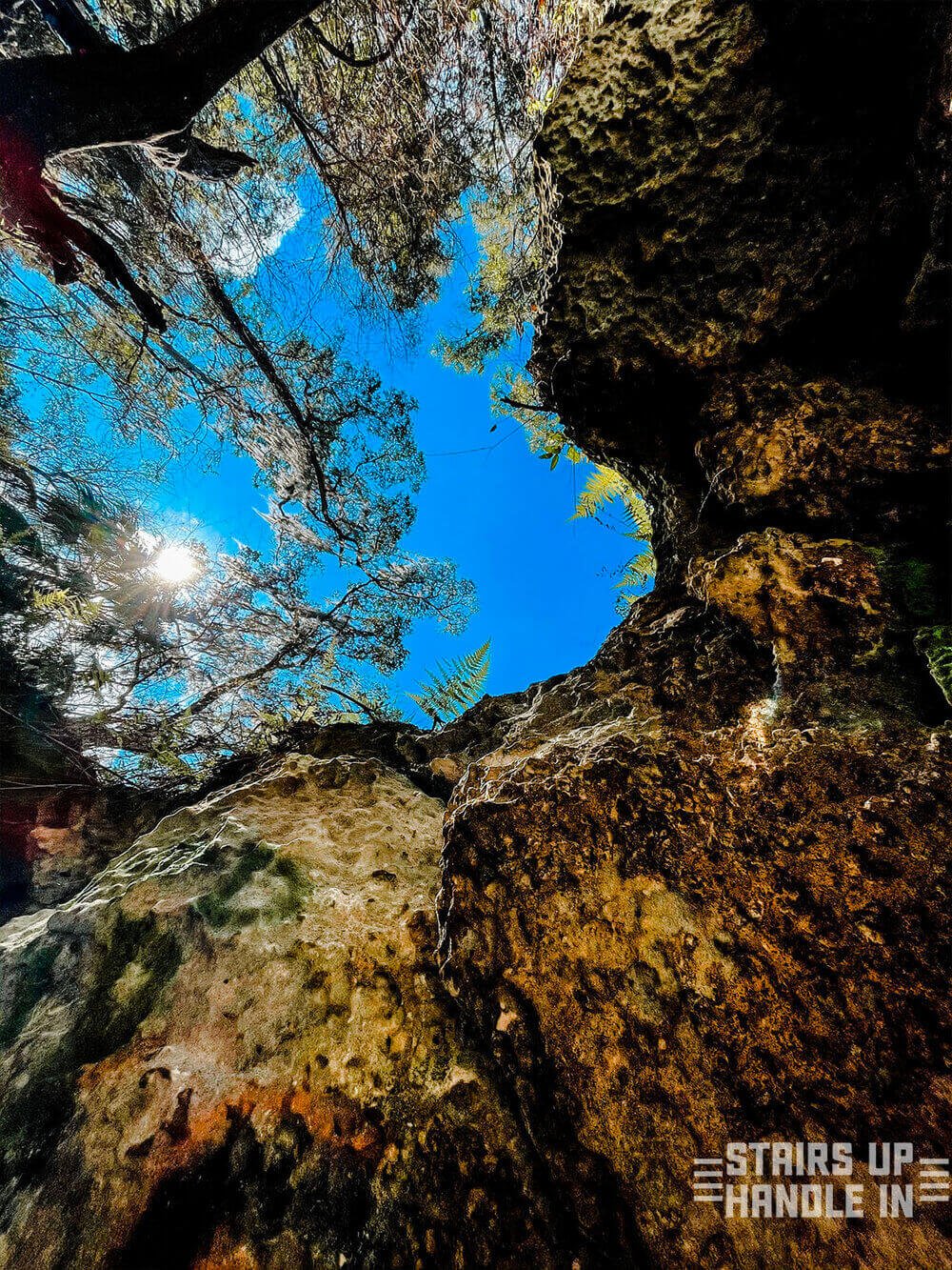 Let's Explore This Hidden Gem Called Dames Caves In FL — Stairs Up ...