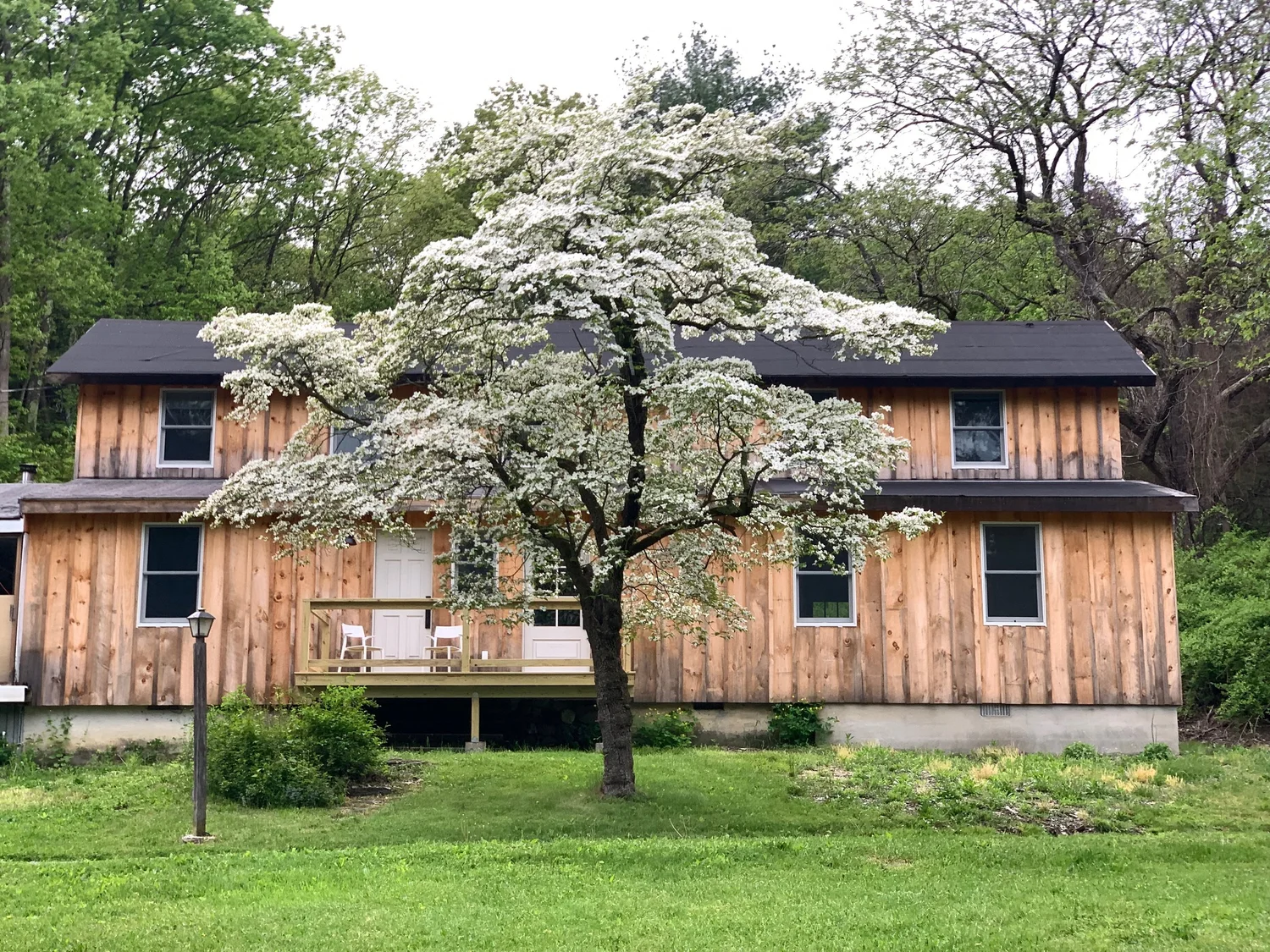 anna roween jewelry — shop