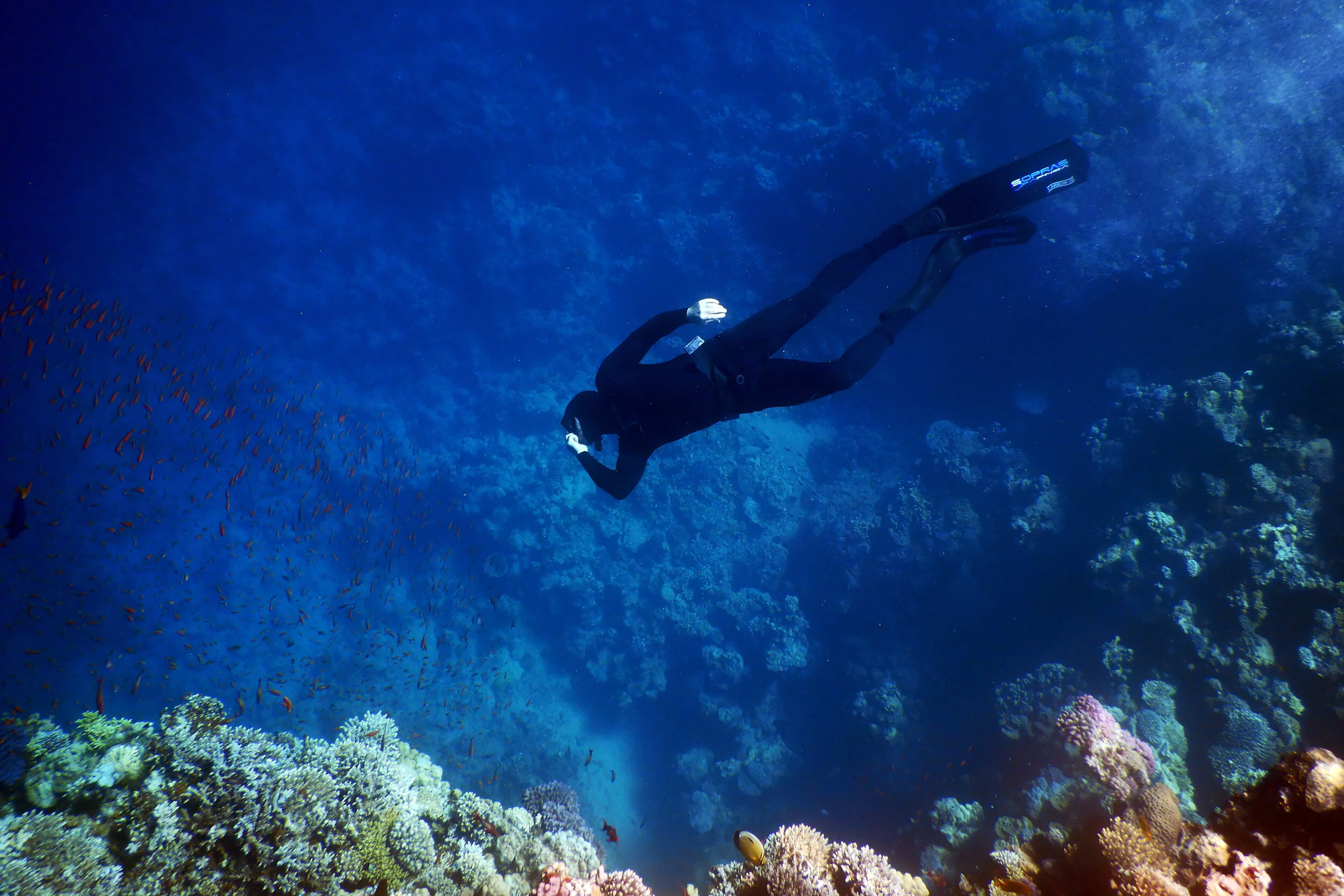 Freediving Ireland | freediving.ie