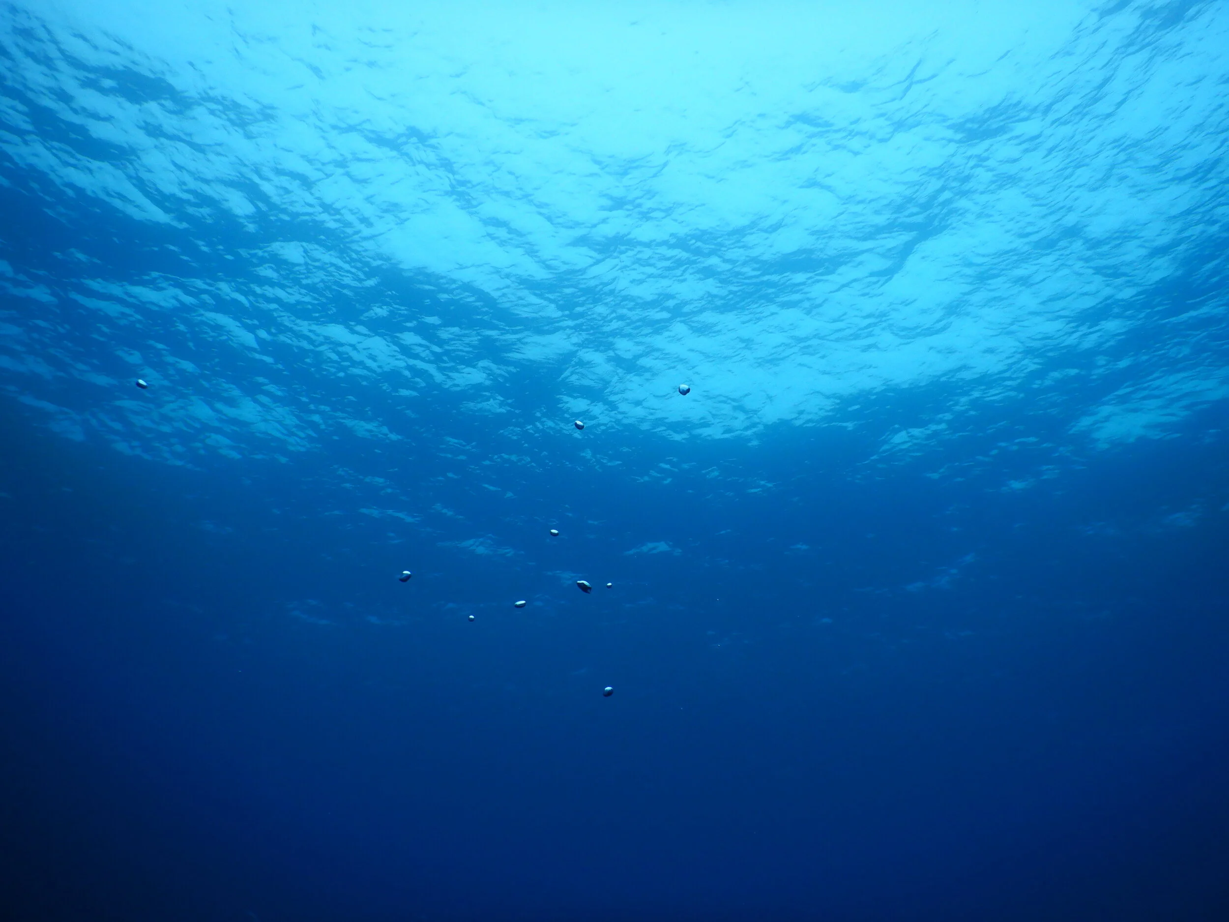 Freediving Ireland | freediving.ie