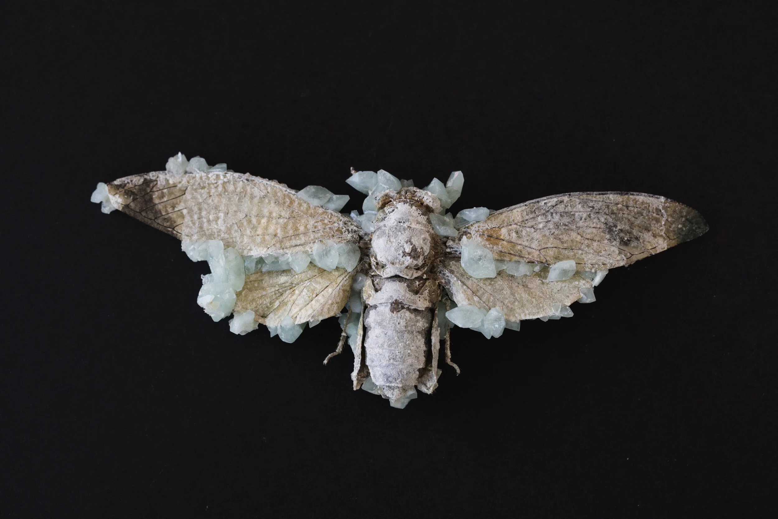 Crystallized — Tyler Thrasher - Your Personal Mad Scientist‎