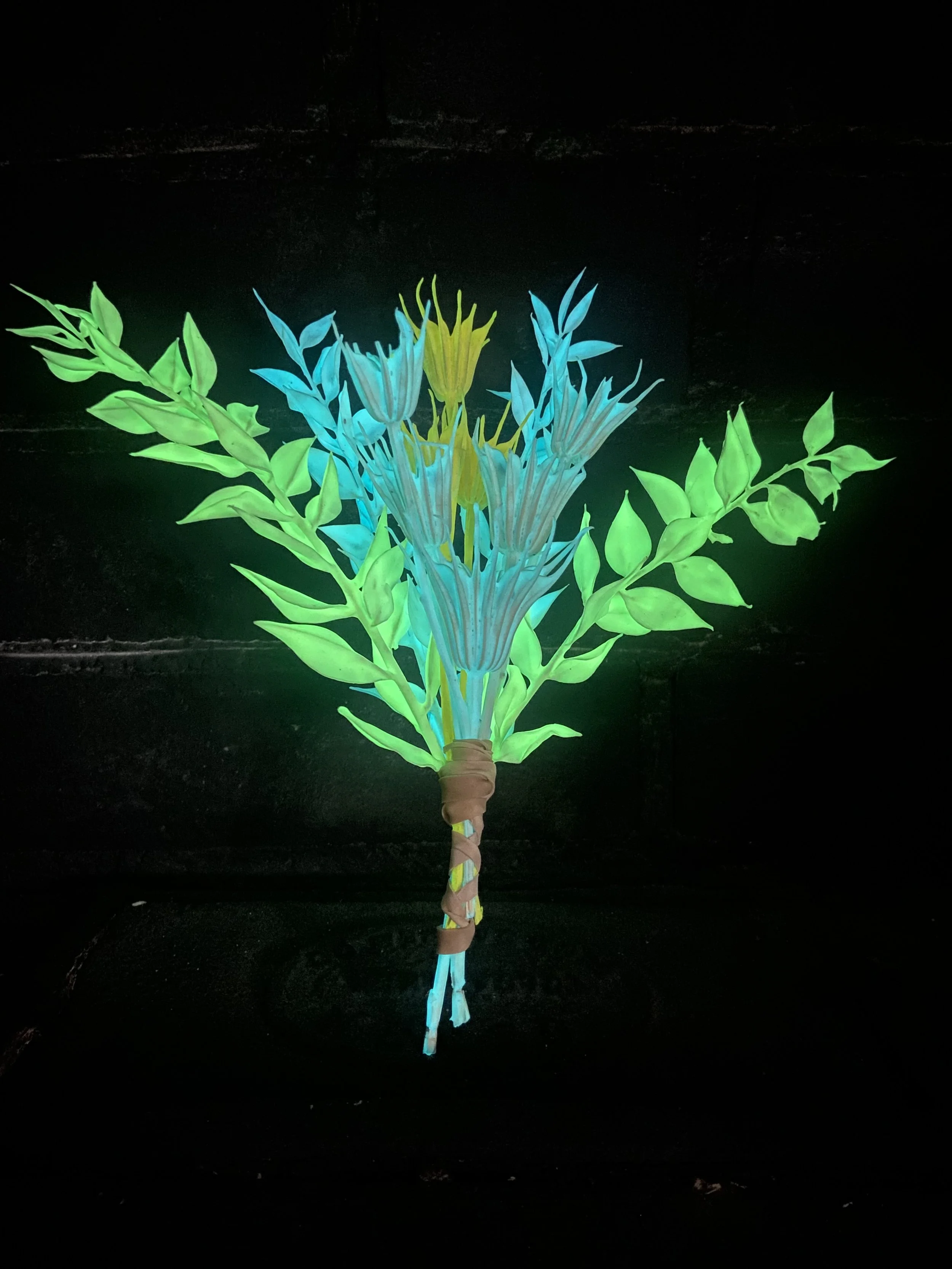 Moonbeam Flora — Tyler Thrasher - Your Personal Mad Scientist‎