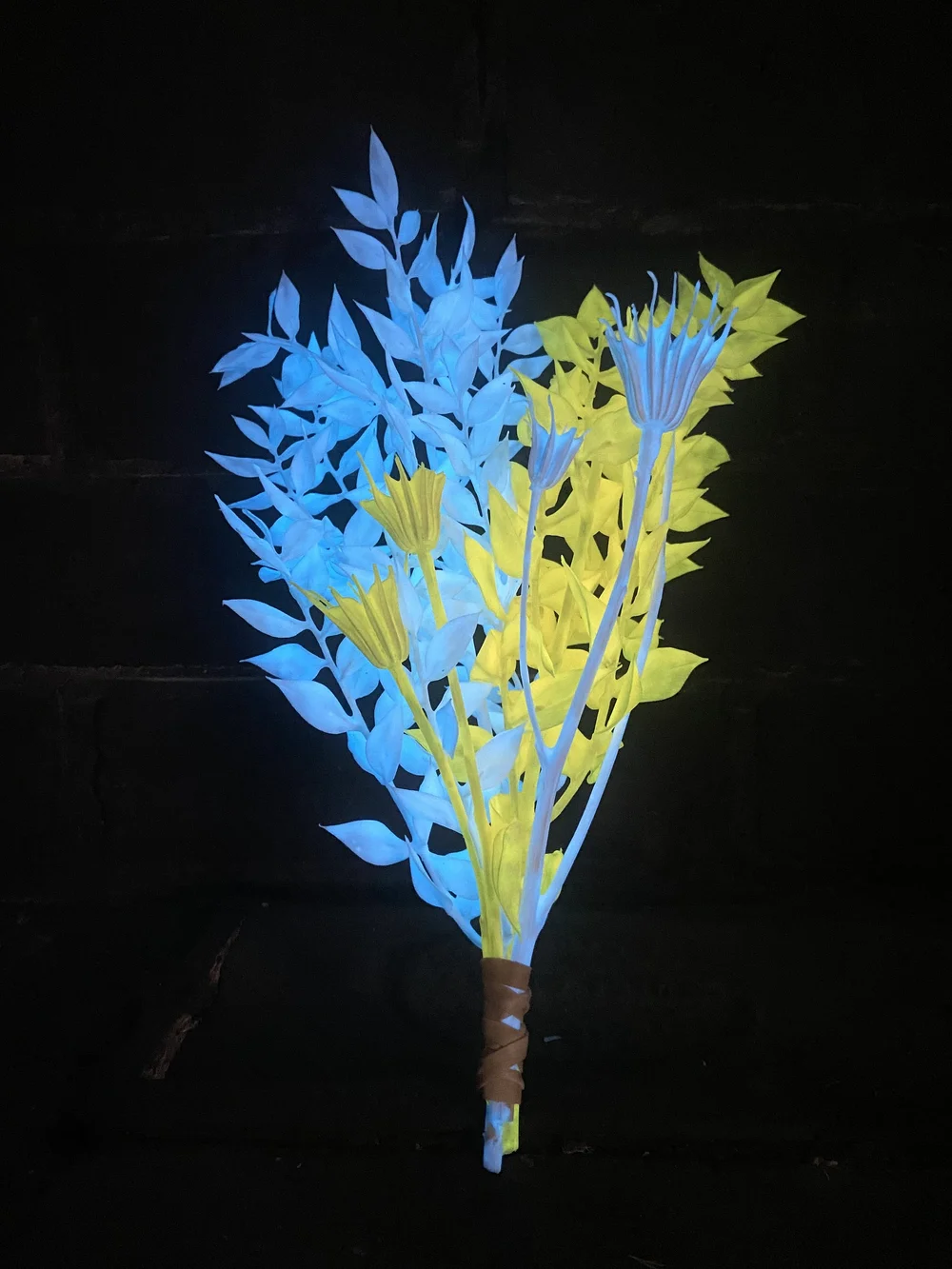 Moonbeam Flora — Tyler Thrasher - Your Personal Mad Scientist‎