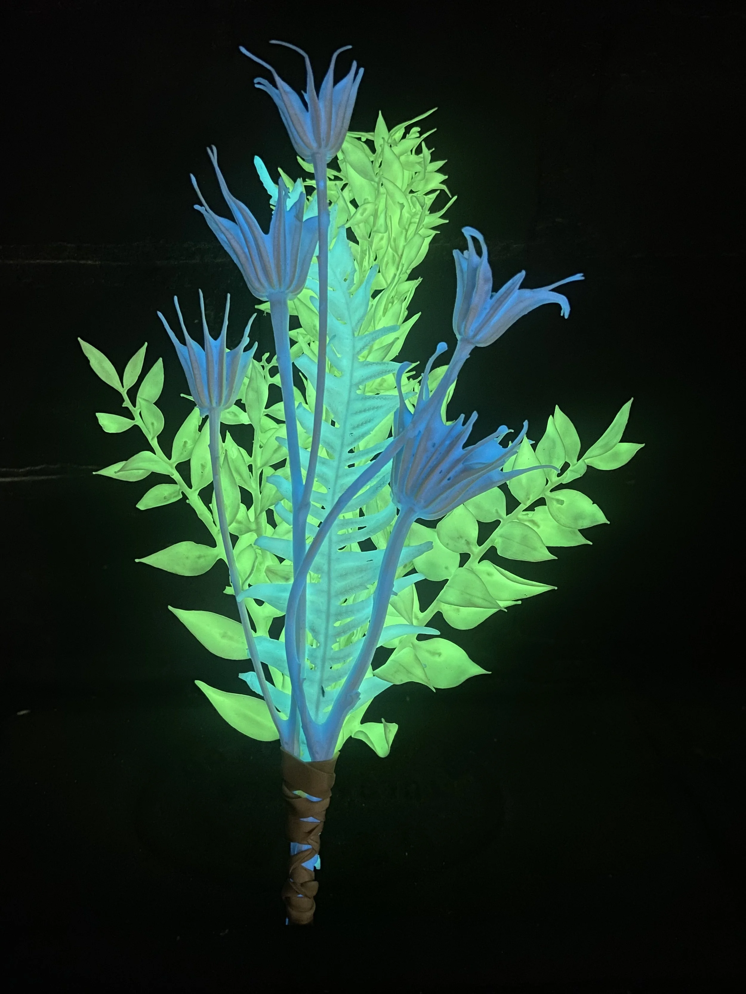 Moonbeam Flora — Tyler Thrasher - Your Personal Mad Scientist‎