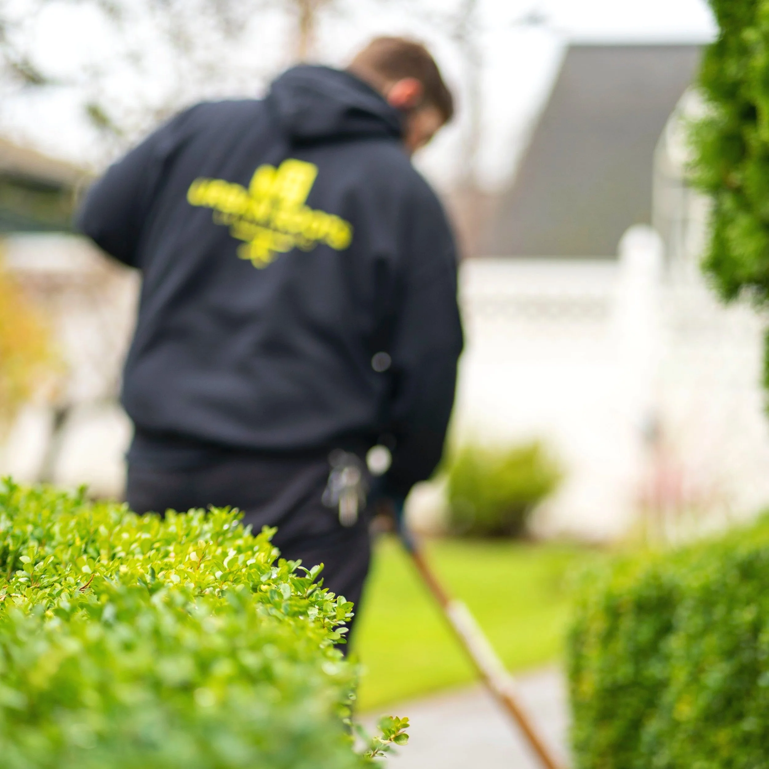 Urban Roots Landscaping & Lawn Care, Tacoma, WA