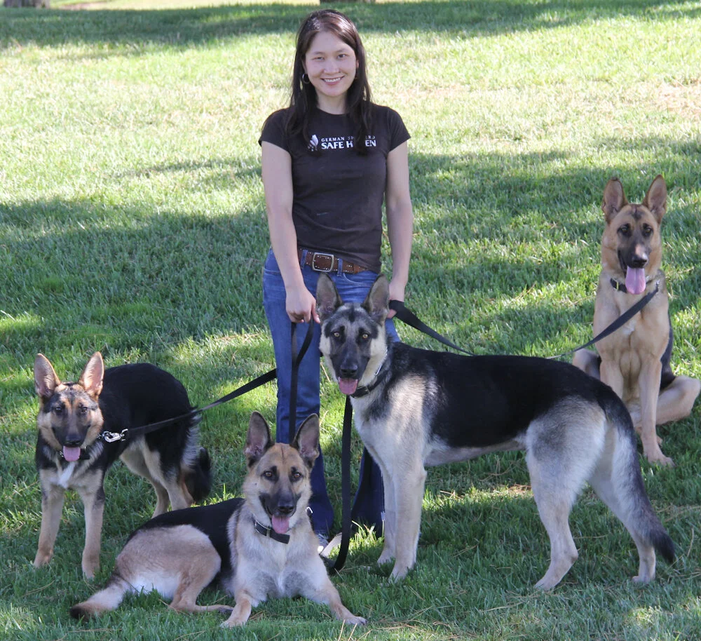 Our Team — German Shepherd Safe Haven