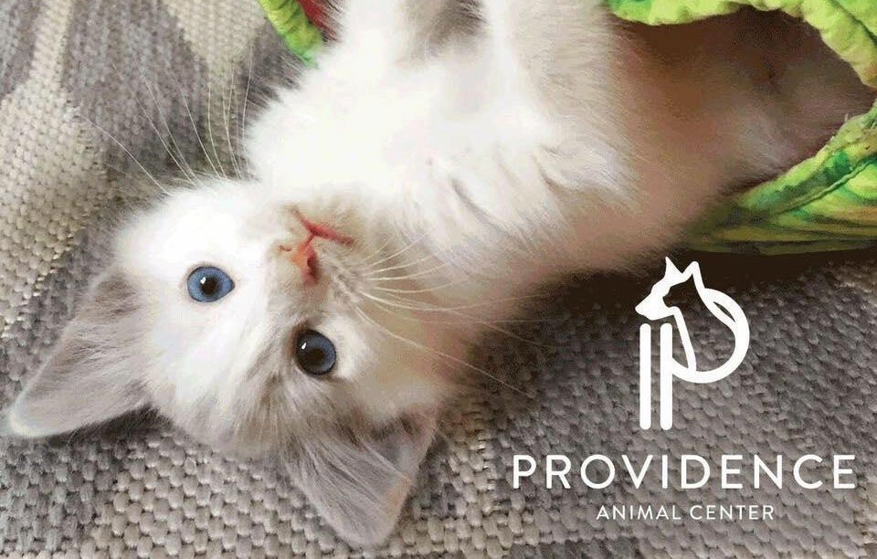 Blog 1 — The Borough of Folcroft