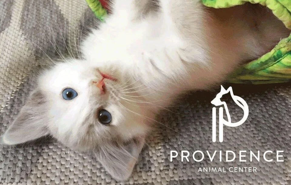 Events — The Borough of Folcroft