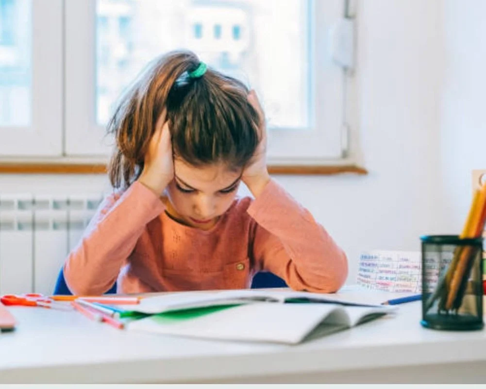 The Reading Wand - Speed Reading -Visual Reading - Reading Tool - Focus ...