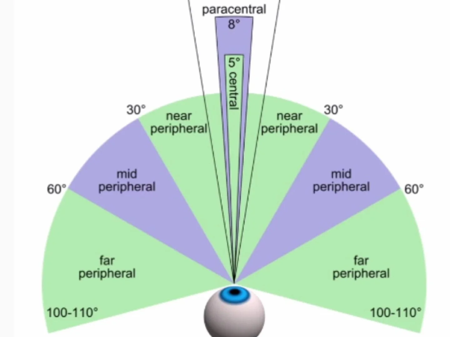 The Reading Wand - Speed Reading -Visual Reading - Reading Tool - Focus ...