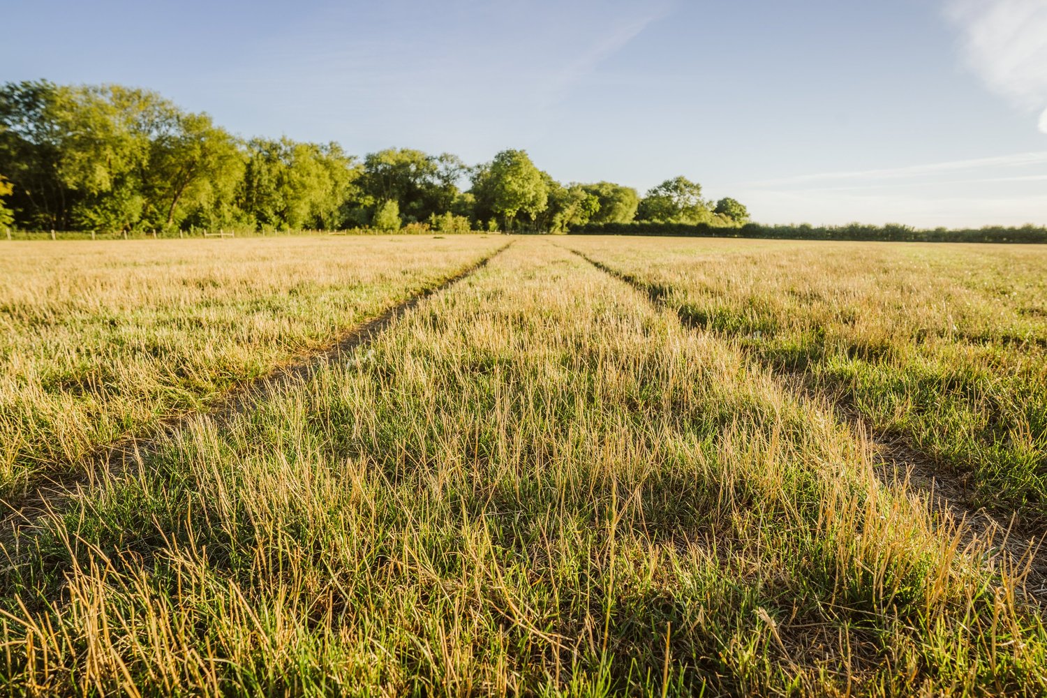 Family Farm Attractions in Oxfordshire | High Lodge Farm