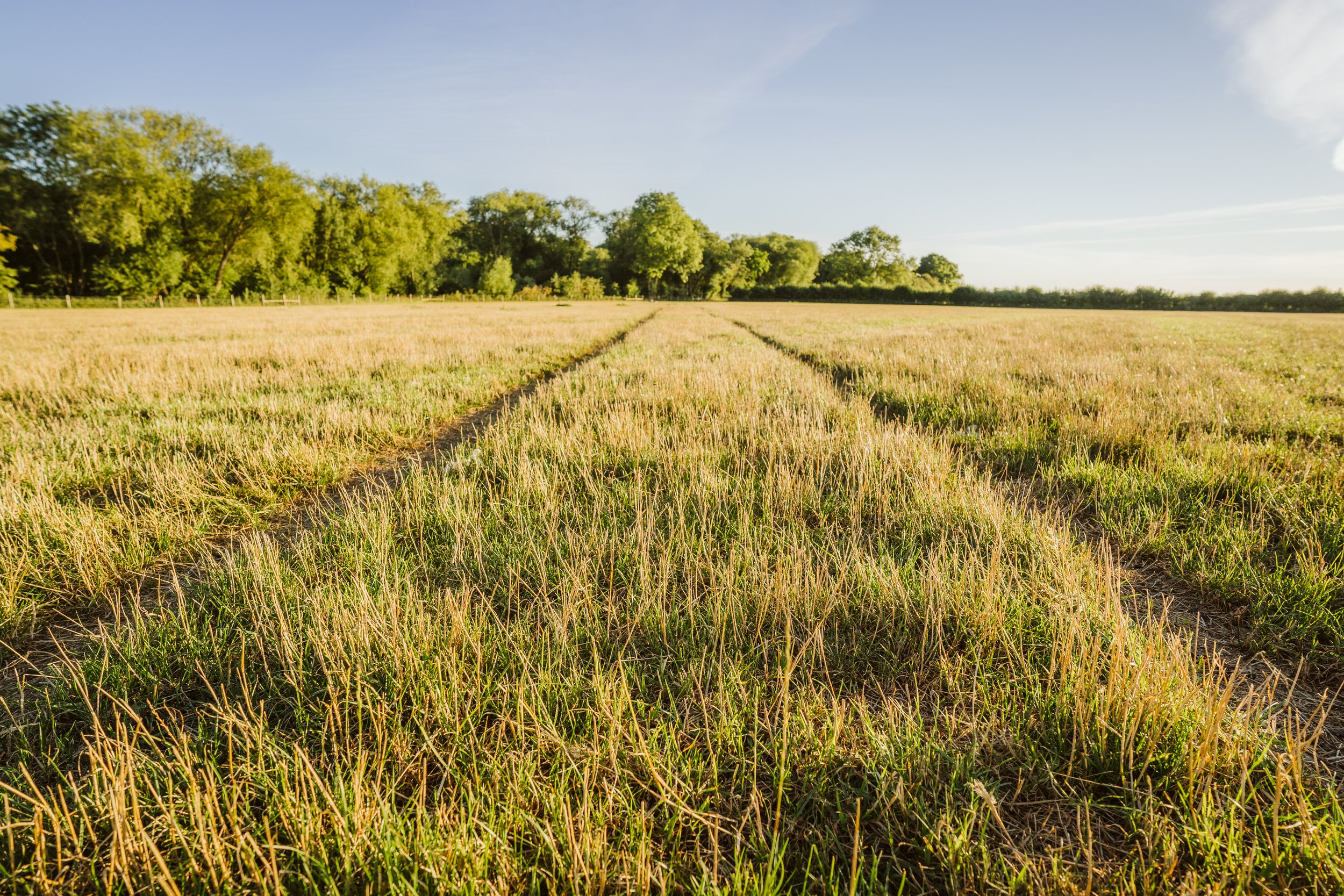 Family Farm Attractions in Oxfordshire | High Lodge Farm