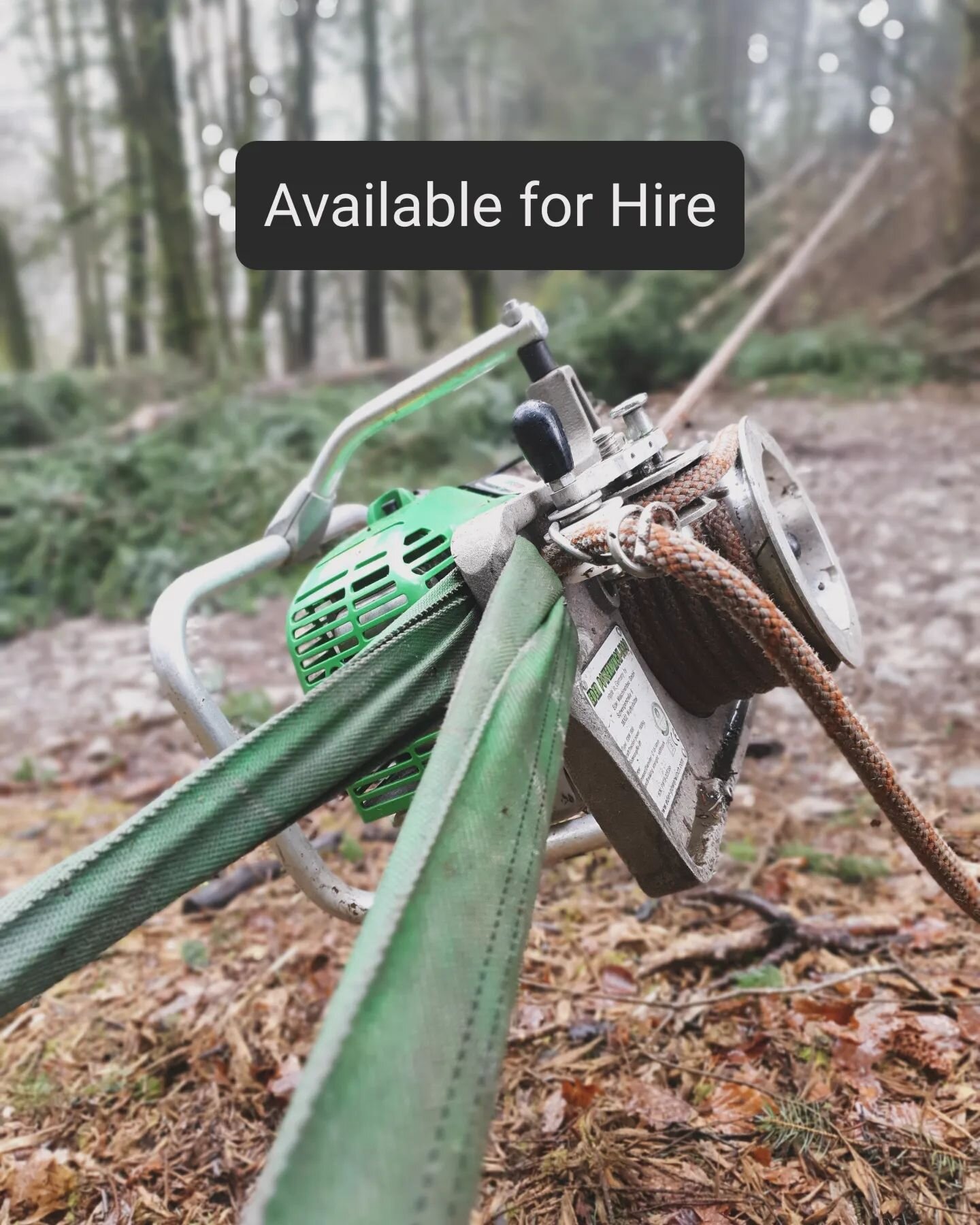 Tree Planting and Design Services, Cumbria - Evolve Tree Management Cumbria