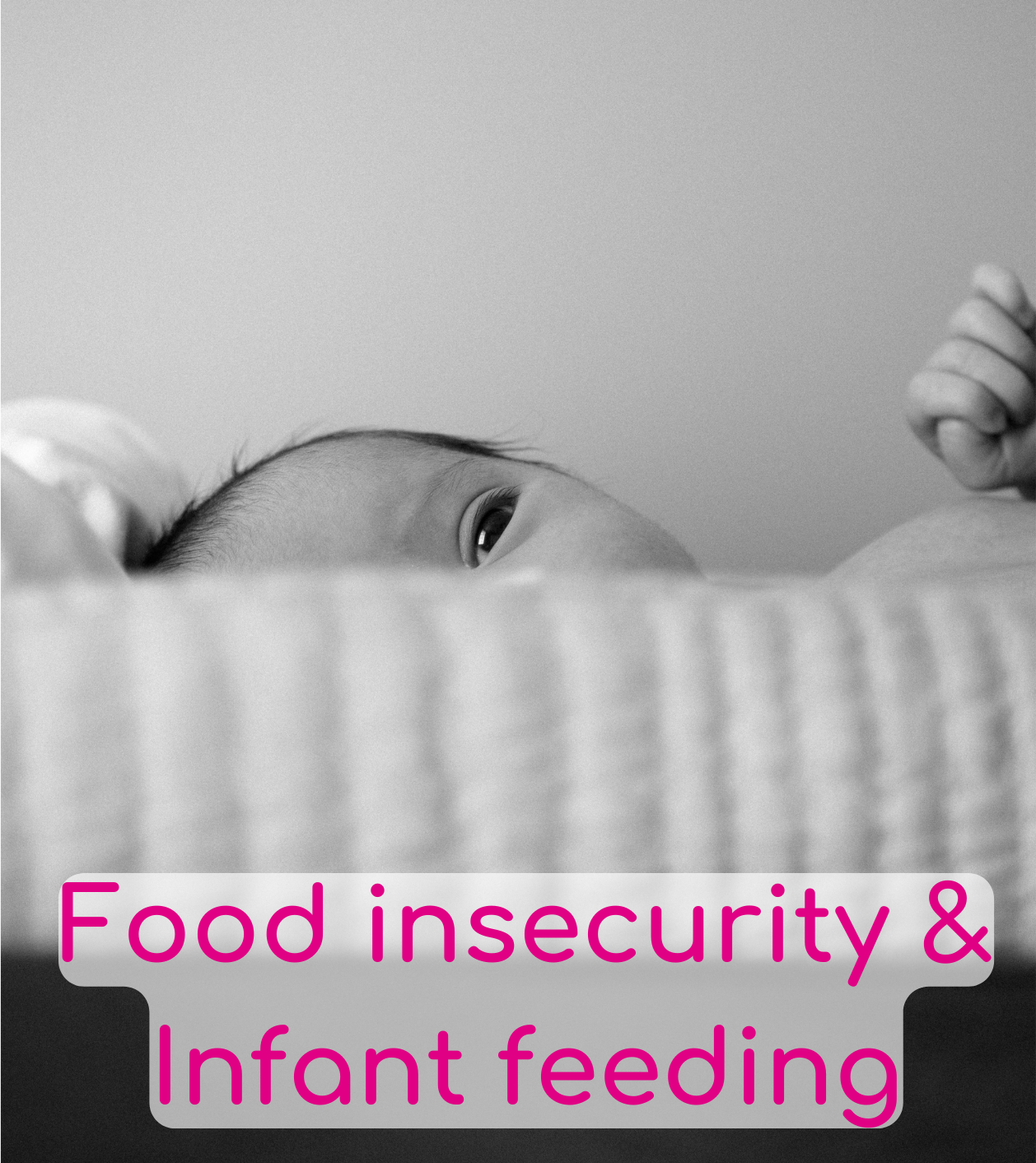Food Insecurity & Infant Feeding — feed