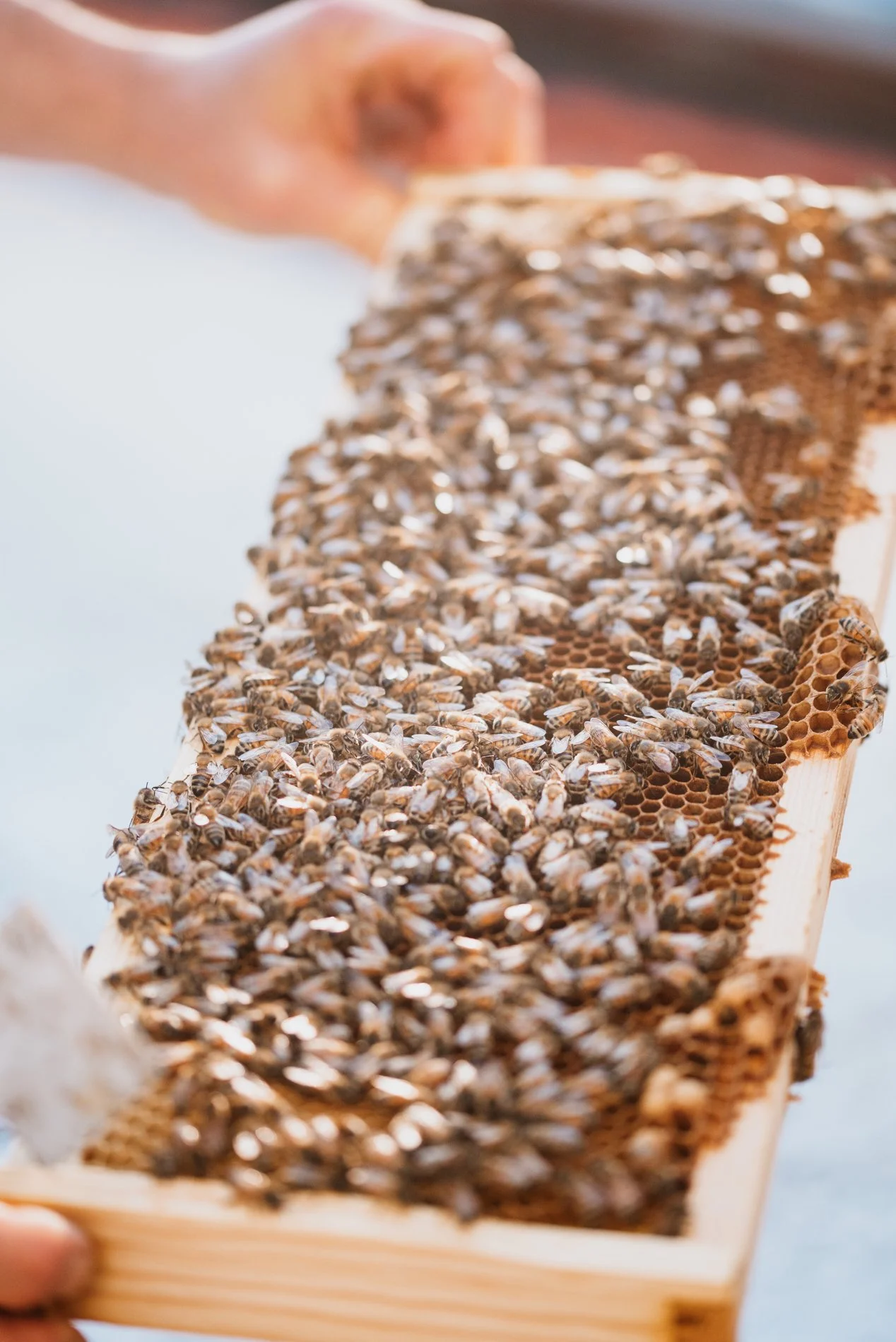 Monastery — Living Water Community Center