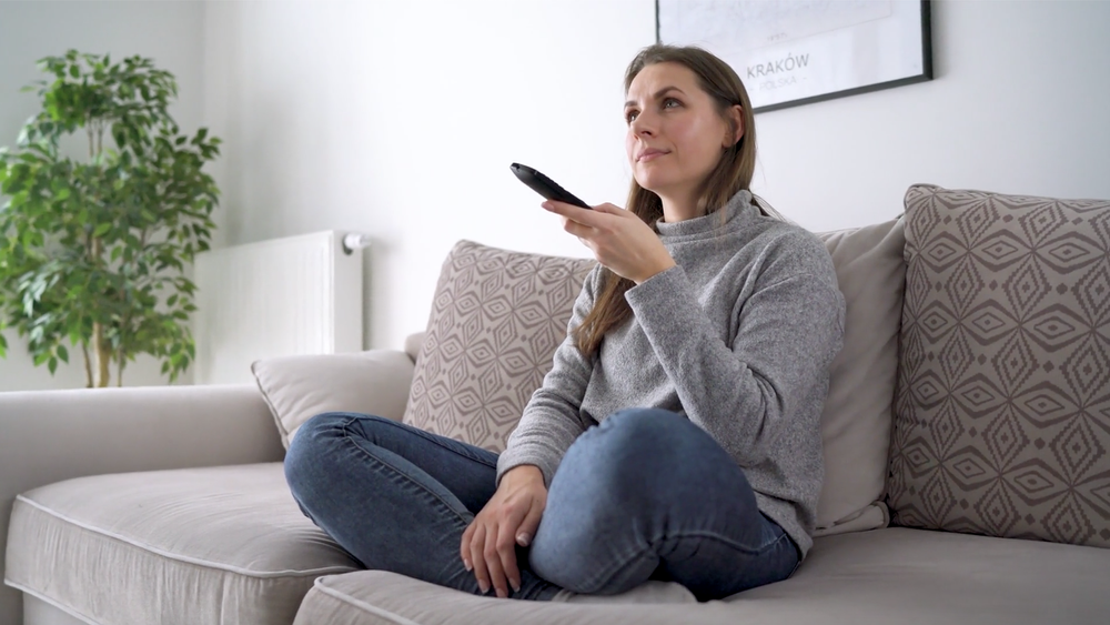 Viewer FAQ - Learn about captioning, described video, accessibility ...