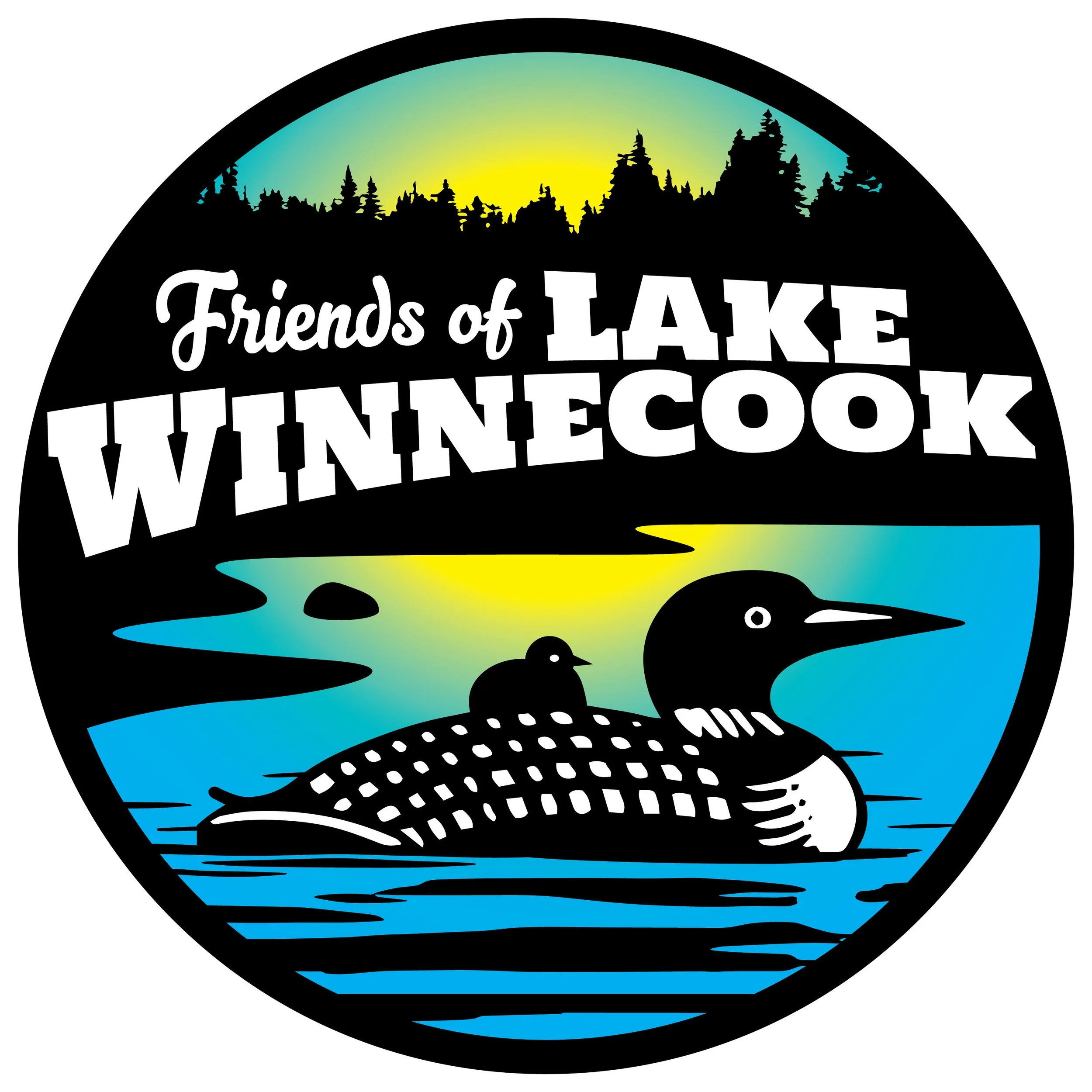 FOLW Board & By-Laws | Protect and Promote Lake Health — Friends of ...
