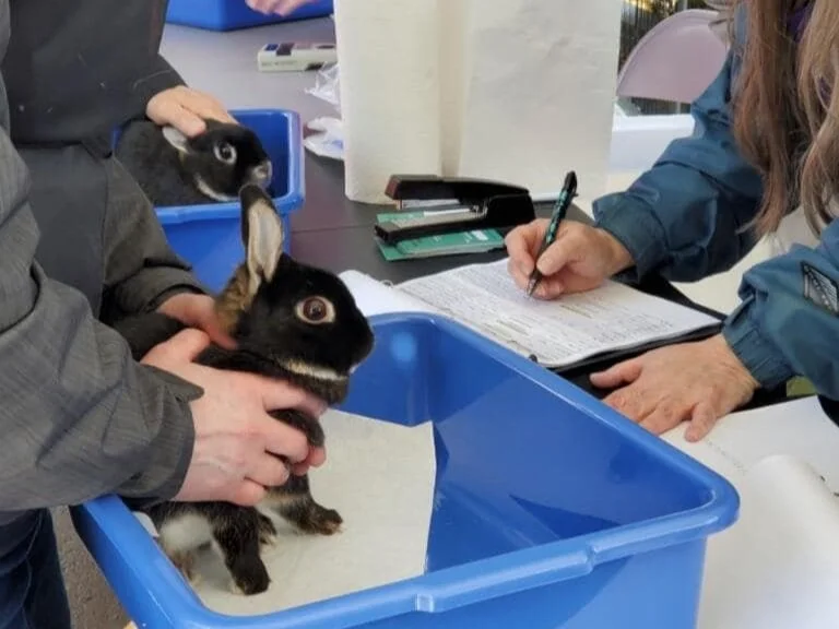 Events — Rabbit Advocates