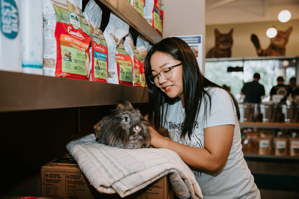 Volunteer — Rabbit Advocates