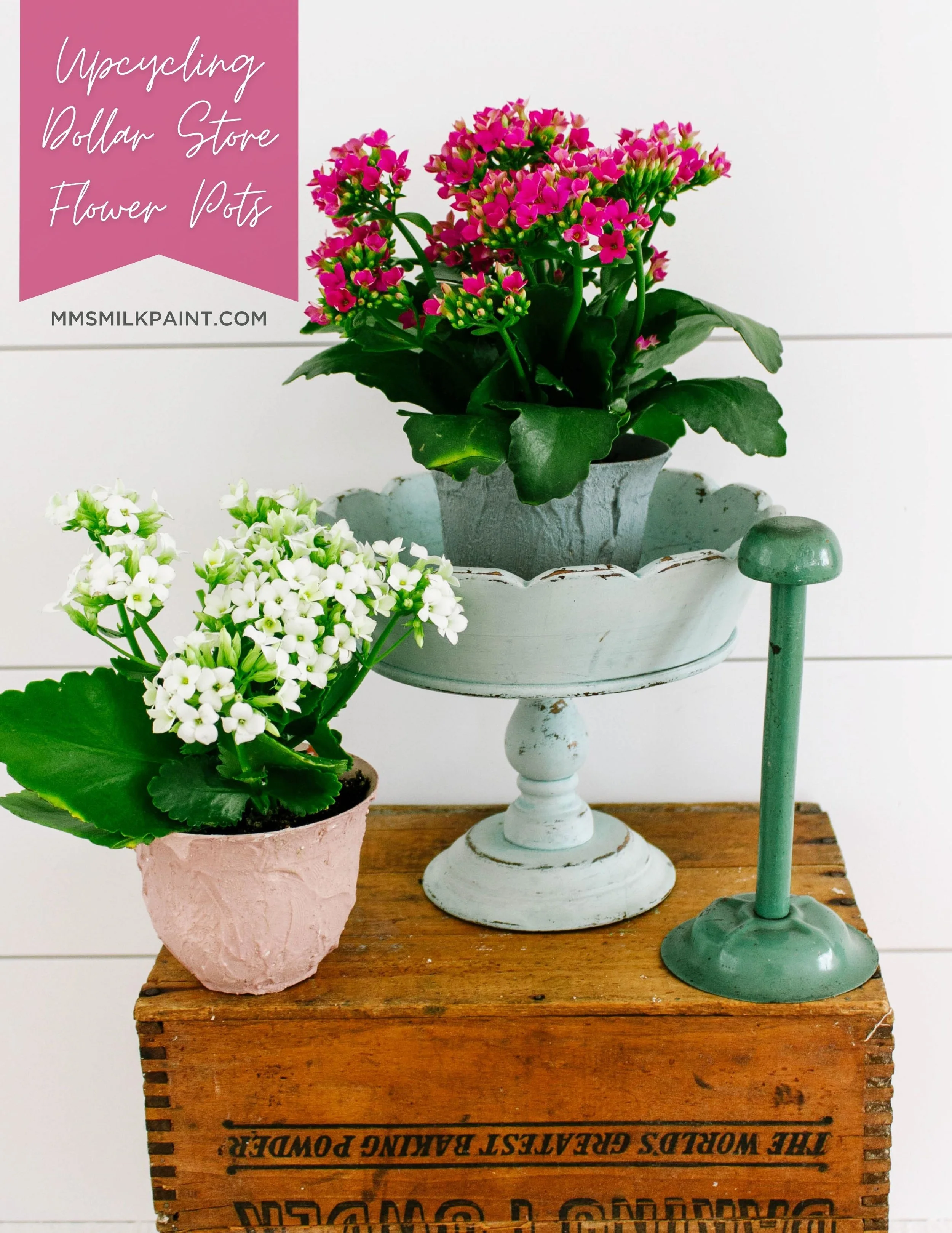 Upcycled Dollar Store Flower Pots With Plaster And Miss Mustard Seed’s ...
